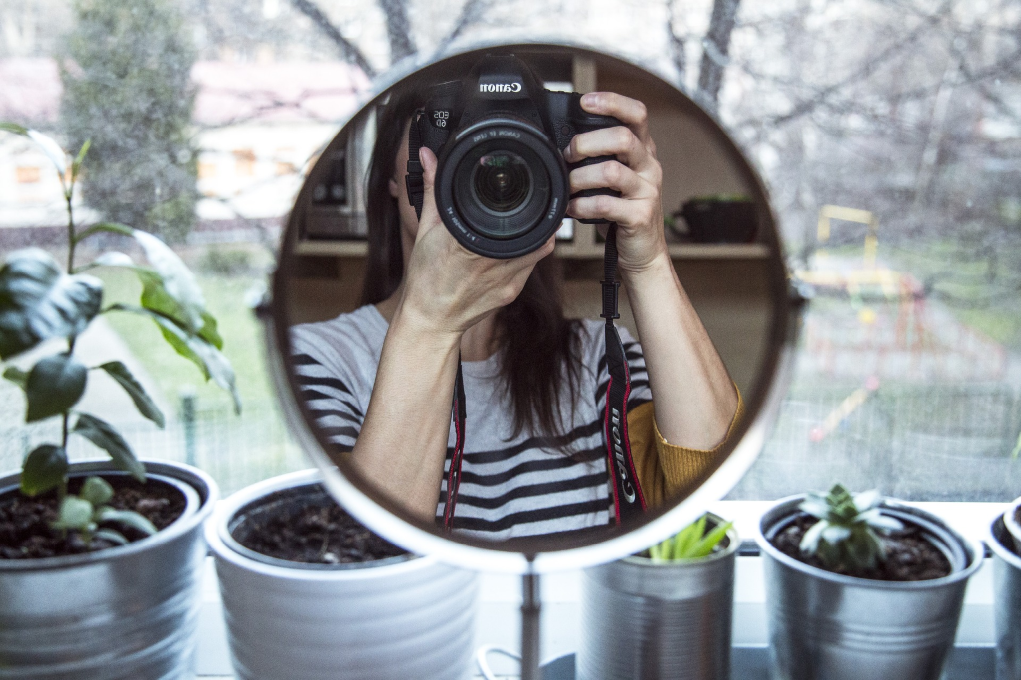 Stories as Mirrors & Windows: Cultural Positionality - Digital ...
